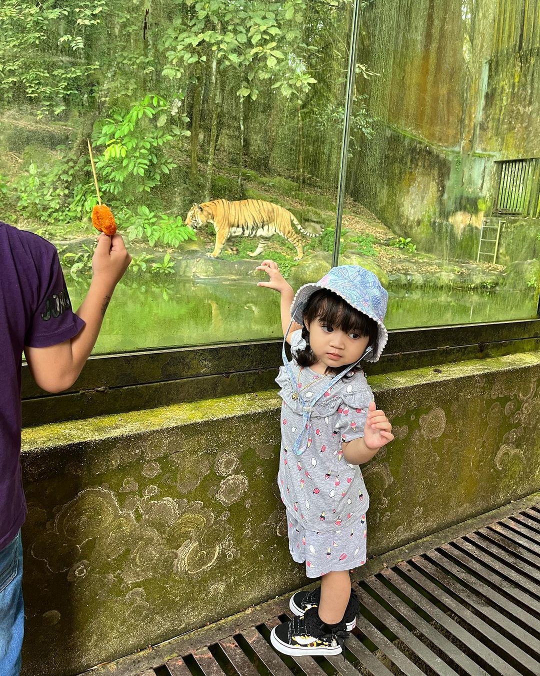 √ Harga Tiket Zoo Kemaman 2025 & Aktiviti