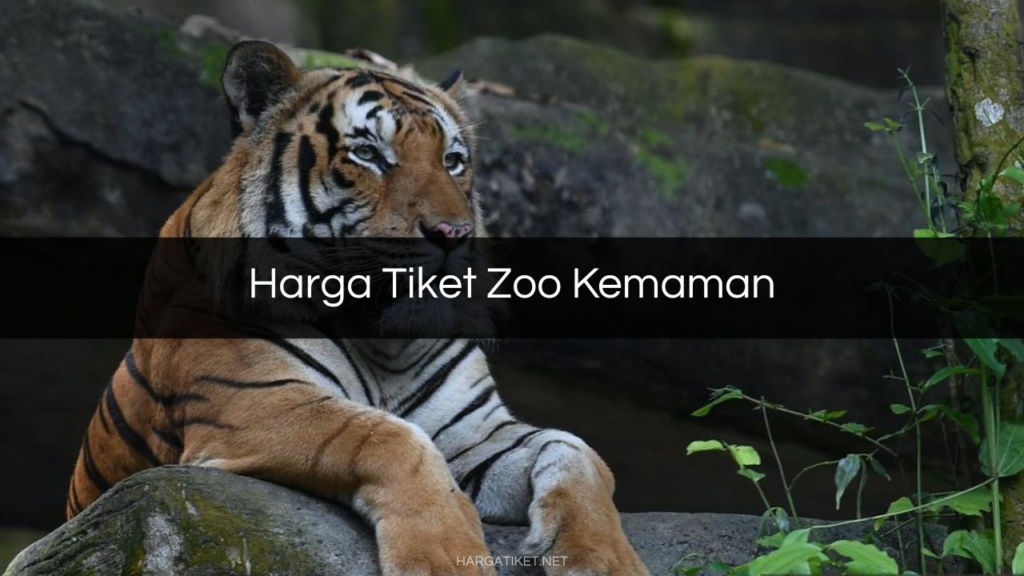 √ BUKIT MERAH Laketown Resort: Review & Harga Tiket 2026