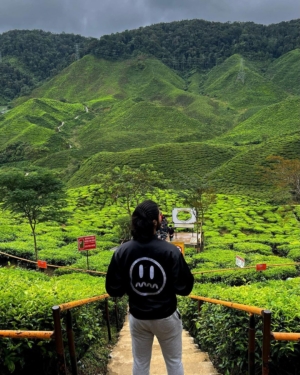 √ Ladang Teh Cameron 2026: Harga Tiket, Aktiviti, Tarikan