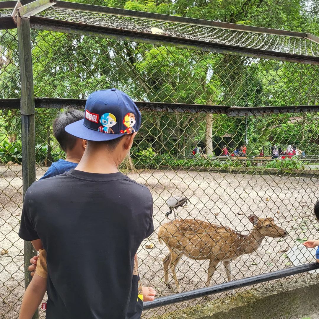 √ Harga Tiket Masuk Zoo Taiping 2025 & Diskaun!