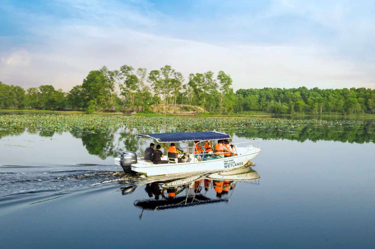 √ PAYA INDAH WETLANDS: Review, Aktiviti, dan Harga Tiket 2026