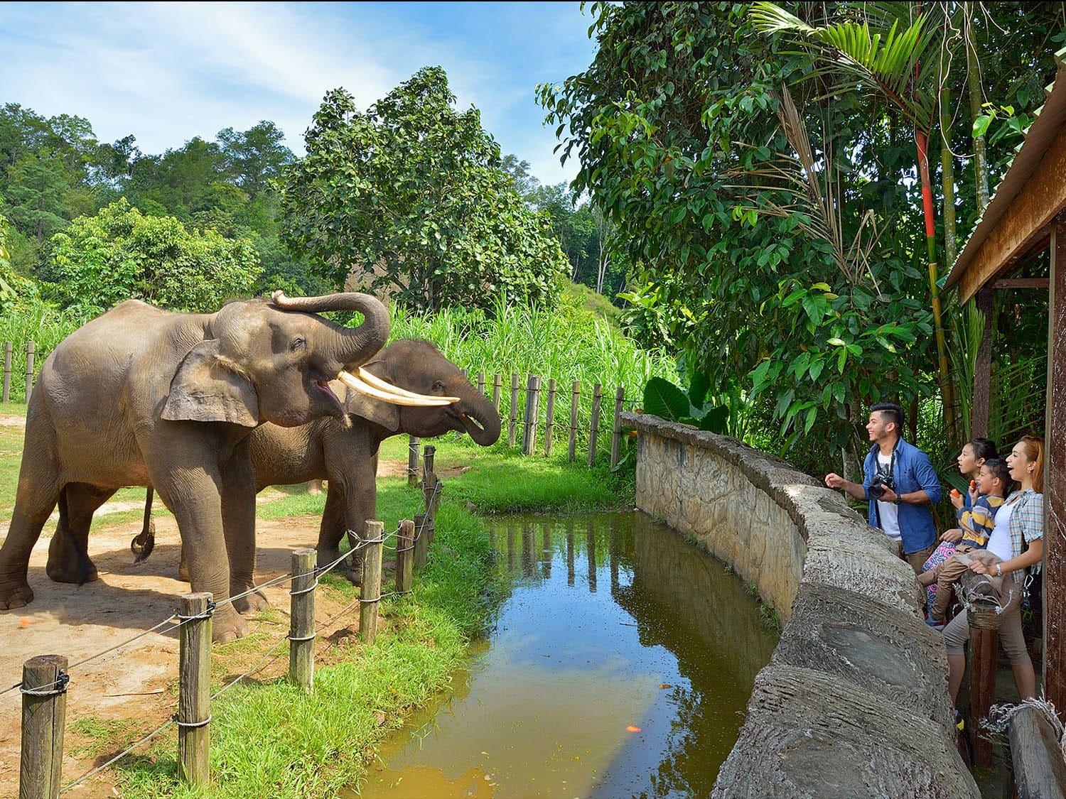 √ LOK KAWI WILDLIFE PARK: Aktiviti & Harga Tiket 2025