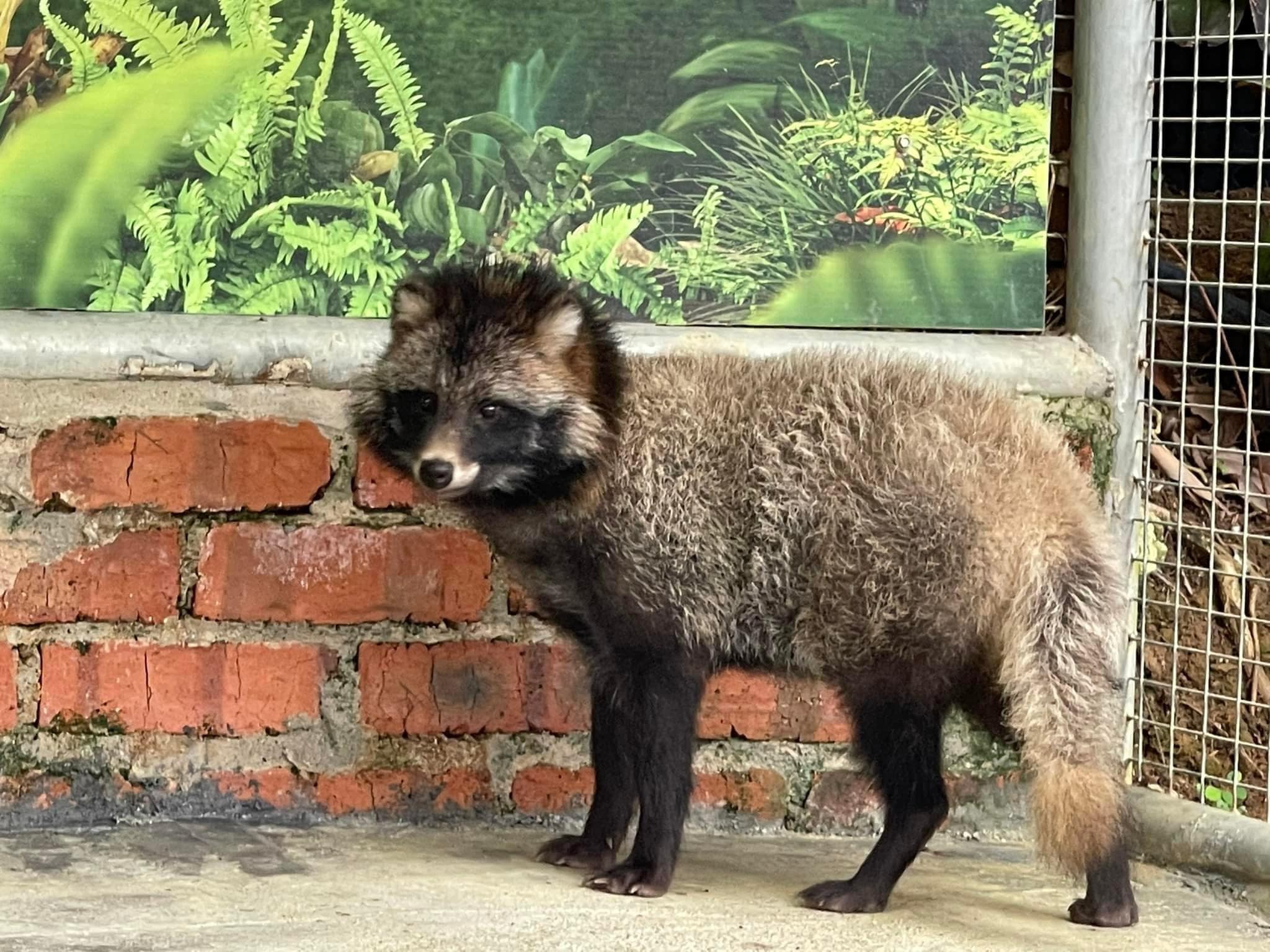 √ G2G ANIMAL GARDEN: Tarikan, Aktiviti, dan Harga Tiket 2025