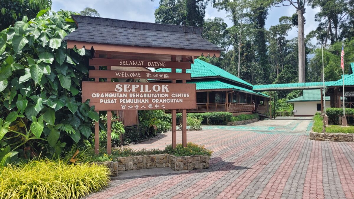√ SEPILOK ORANGUTAN Rehabilitation Centre: Harga Tiket 2026