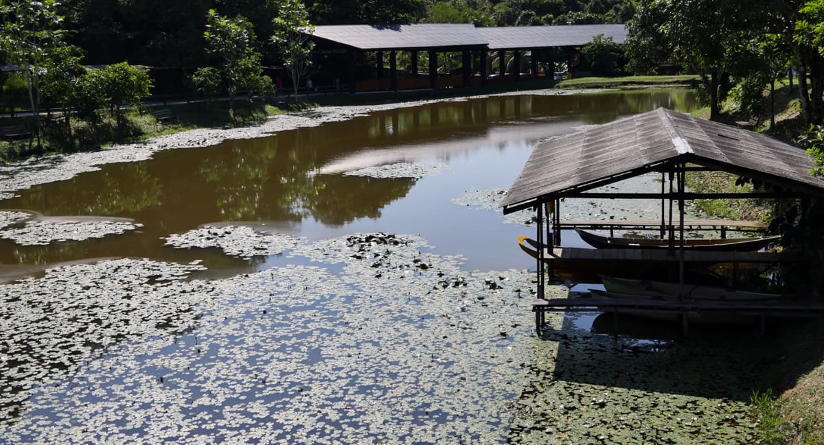 √ BORNEO HAPPY FARM: Review & Harga Tiket 2025