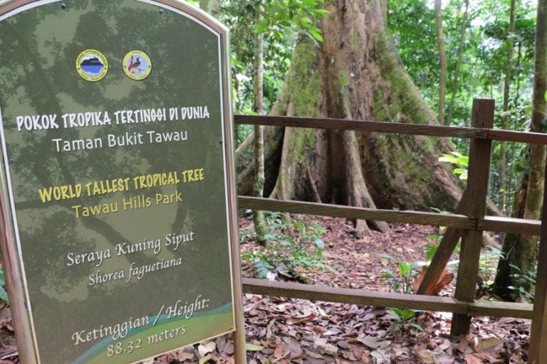 √ TAMAN BUKIT TAWAU: Tarikan, Aktiviti, Harga Tiket 2025