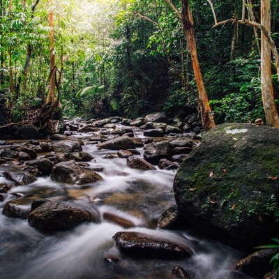 √ LATA ULU CHEPOR: Tarikan, Aktiviti, Harga Tiket 2023