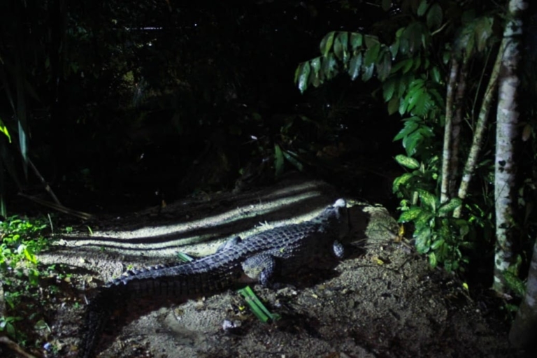 √ NIGHT SAFARI ZOO TAIPING: Review & Harga Tiket 2025