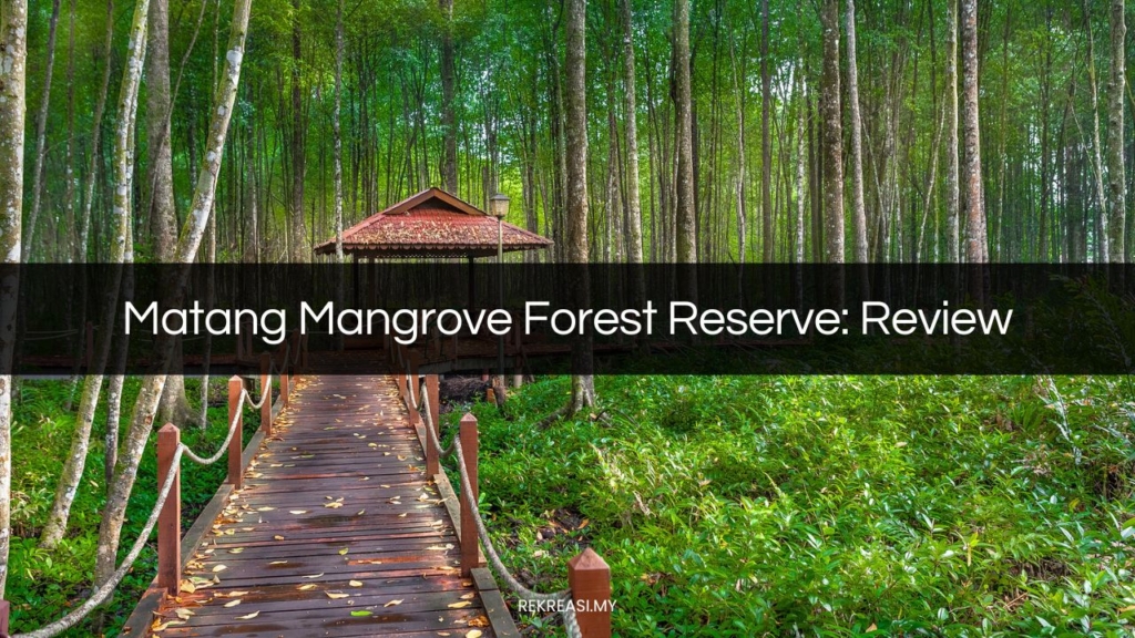 √ MATANG Mangrove Forest Reserve: Review & Harga Tiket 2025