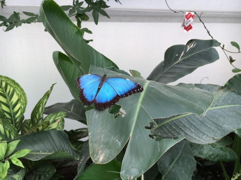 √ TAMAN RAMA RAMA KL: Review & Harga Tiket 2025