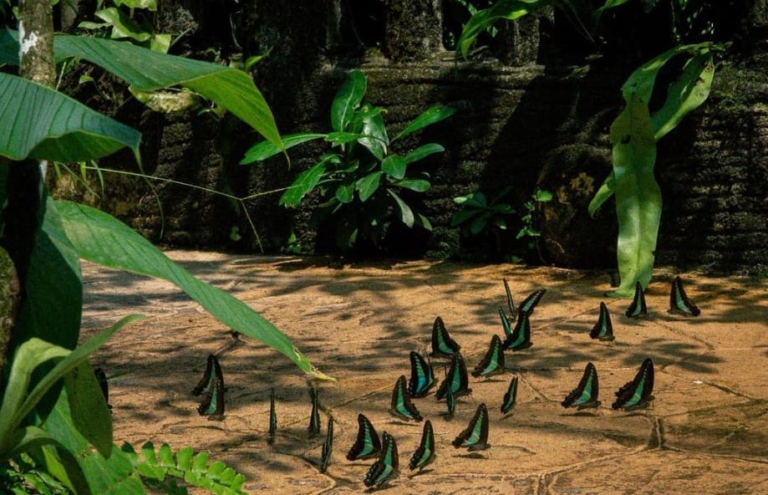 √ TAMAN RAMA RAMA KL: Review & Harga Tiket 2025