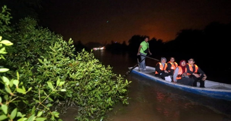 √ KAMPUNG KUANTAN FIREFLY: Review & Harga Tiket 2026