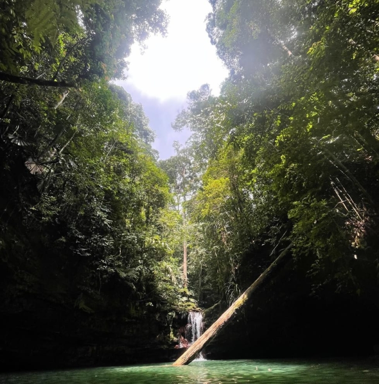 √ TAMAN NEGARA Bukit Lambir: Tarikan & Harga Tiket 2026